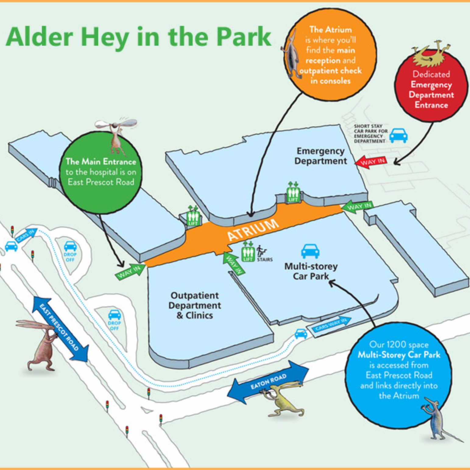 New Alder Hey: 5 things you need to know | Granada - ITV News New Alder Hey: 5 things you need to know | Granada - ITV News